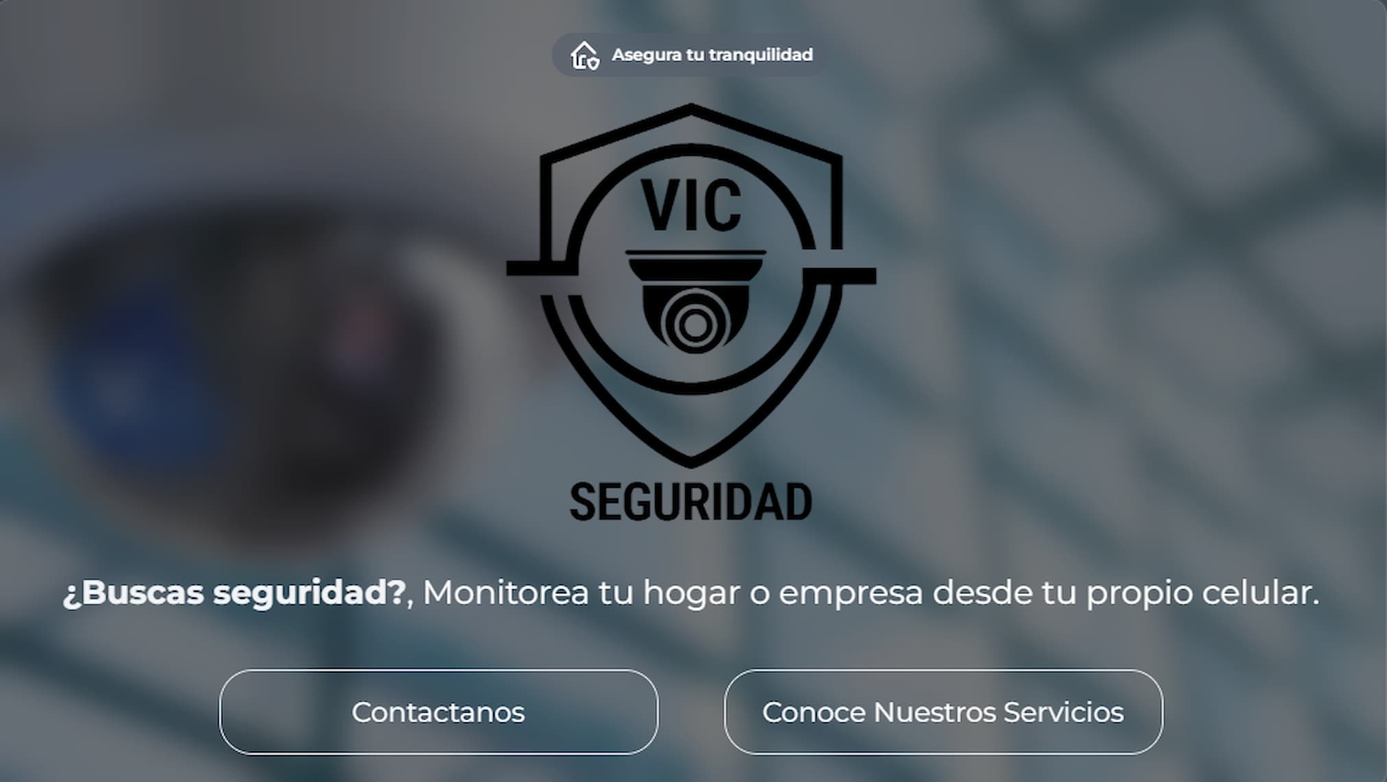 VIC Ing y Seguridad.